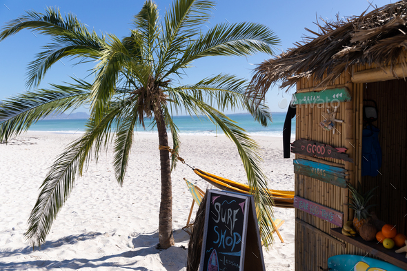 Magnificent view of a beach with a palm tree and a surf shop Stock ...