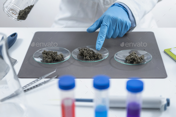 Pesticide Testing. Laboratory inspection of Organic Farming Samples ...