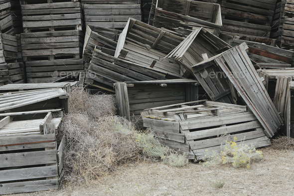 Pile of old and discarded wooden fruit crates, boxes for apple harvest ...