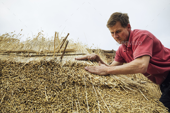 Man thatching a roof, layering the straw. Stock Photo by Mint_Images