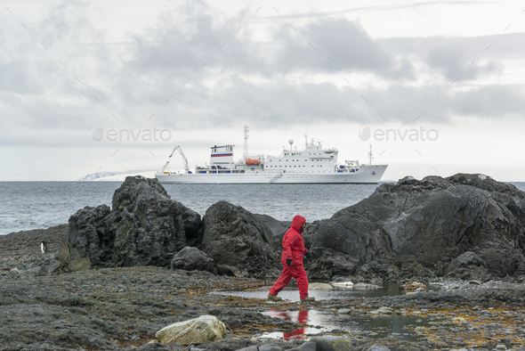 Man walking on shore, a large polar research vessel offshore Stock ...