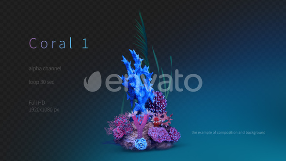 Coral 1, Motion Graphics | VideoHive