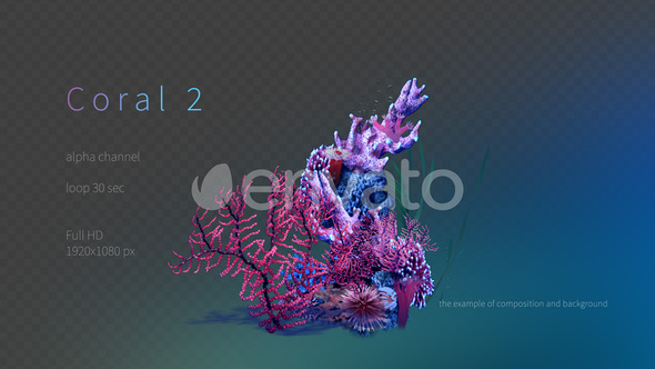 Coral 2, Motion Graphics | VideoHive