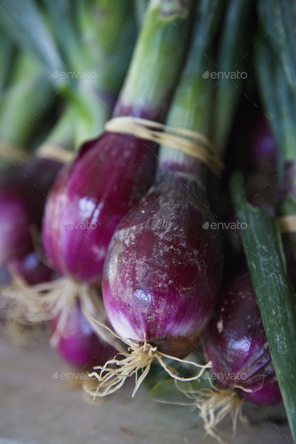 Bunch of spring onions. Stock Photo by Mint_Images | PhotoDune