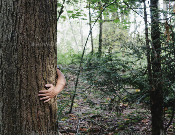 Man hugging tree in lush, green forest Stock Photo by Mint_Images ...