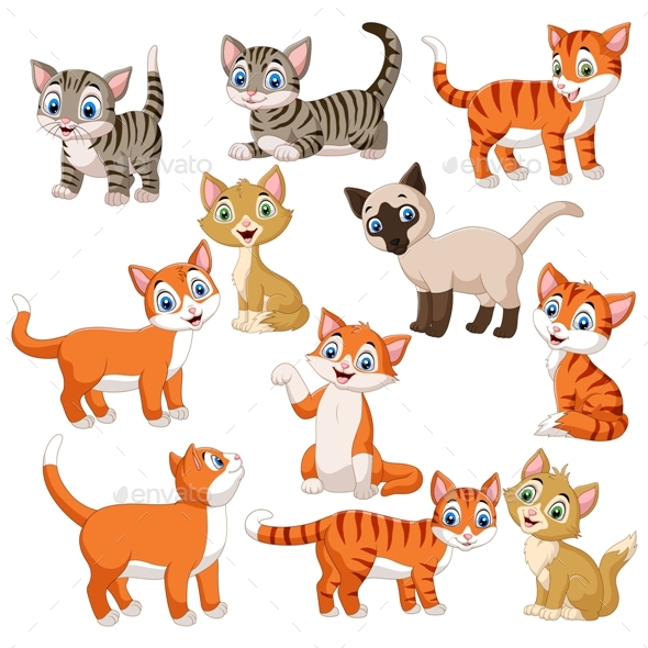 Cats Character, Vectors | GraphicRiver