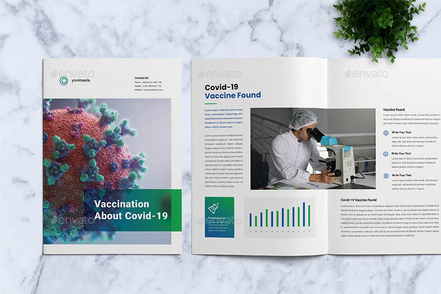 Disease & Virus Brochure by yovimaula | GraphicRiver