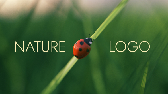 Nature Logo Reveal, After Effects Project Files | VideoHive