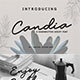 Candia Sript Font, Fonts | GraphicRiver