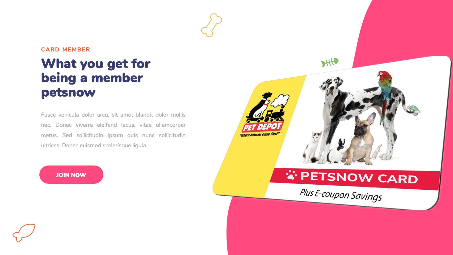 Petsnow - Pet Care & Pet Shop Powerpoint Template, Presentation Templates