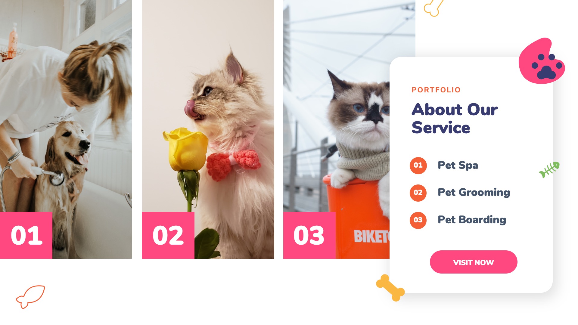 Petsnow - Pet Care & Pet Shop Powerpoint Template, Presentation Templates