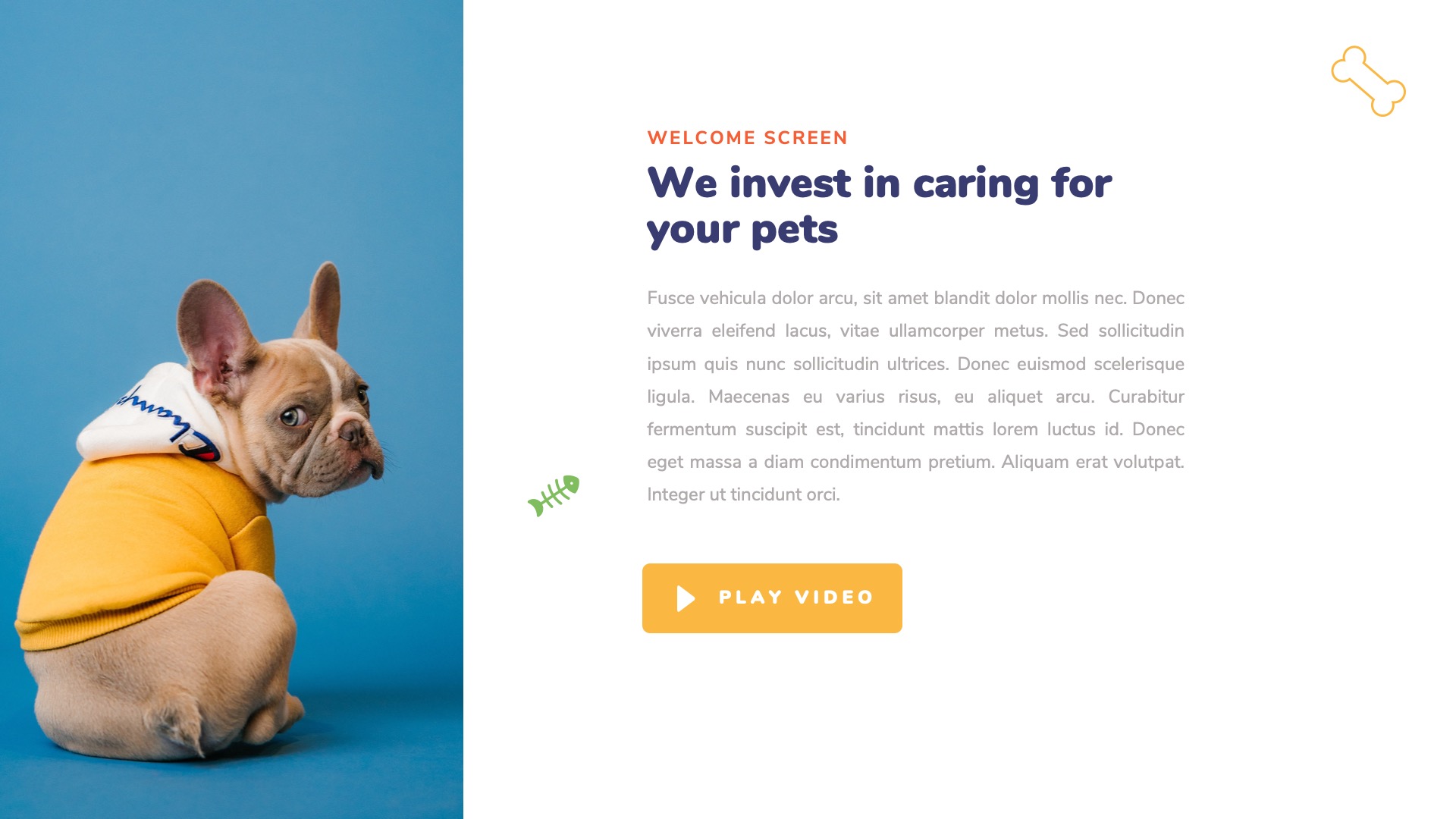 Petsnow - Pet Care & Pet Shop Powerpoint Template, Presentation Templates