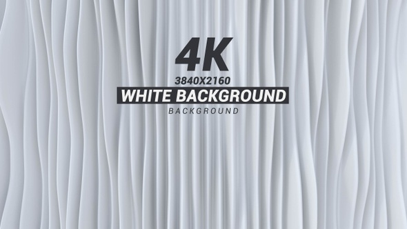 White Background, Motion Graphics | VideoHive