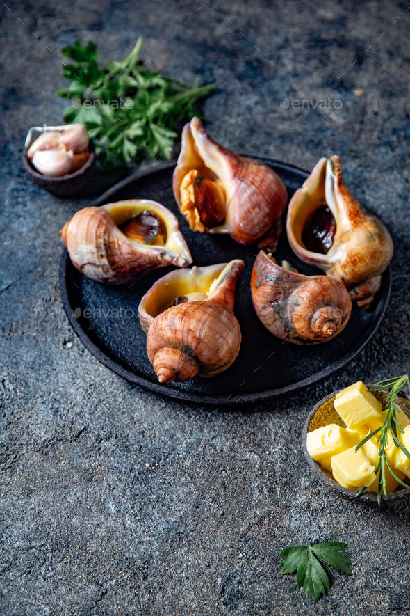 Raw Snails escargots, and ingredients. Top view Stock Photo by lblinova