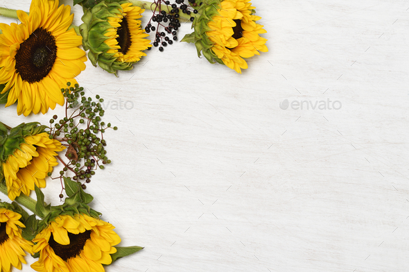 Frame of sunflowers Stock Photo by annakhomulo | PhotoDune