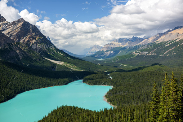 Beautiful Peyto Lake, Banff National Park, Alberta, Canada Stock Photo ...