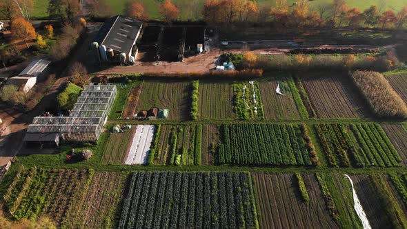 Vegetable and fruit garden of a biological dynamic farm in The ...