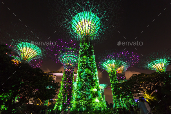 Low angle view of illuminated Supertree Grove at Gardens by the Bay ...