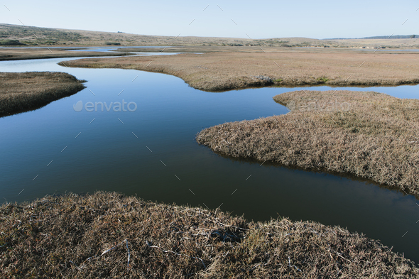 The open spaces of marshland and water channels. Flat calm water. Stock ...
