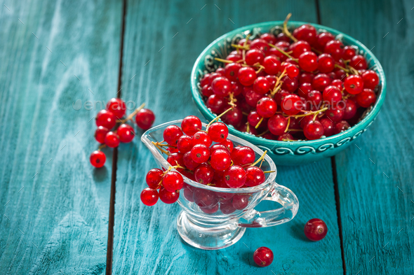 Fresh red currant Stock Photo by Irrin | PhotoDune