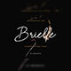 Brielle, Fonts | GraphicRiver