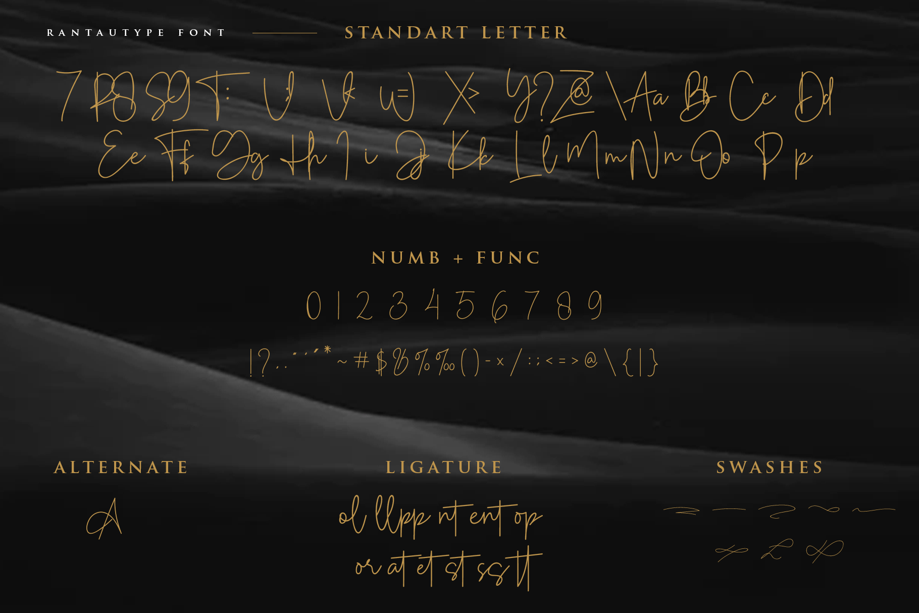 Golden Mind, Fonts | GraphicRiver