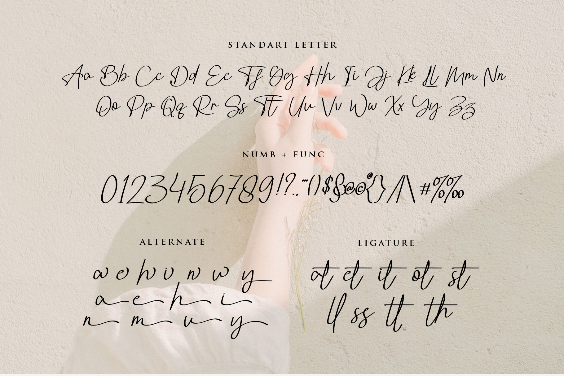 Findream by rantautype | GraphicRiver