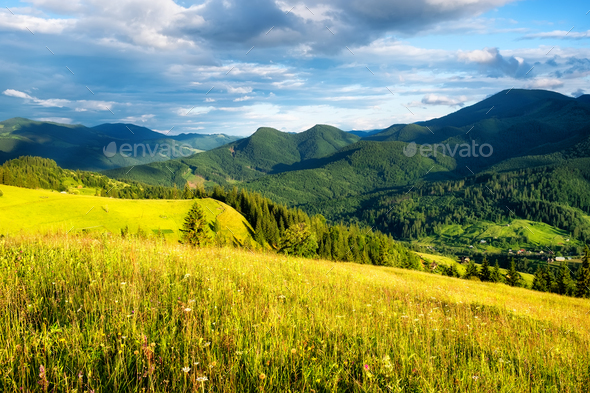 Field and mountains in valley. Natural landscape at the summer time ...