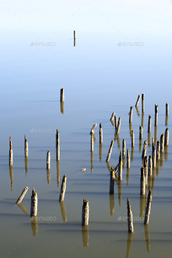 Old Wood Pilings in Water, Oregon, USA Stock Photo by Mint_Images ...