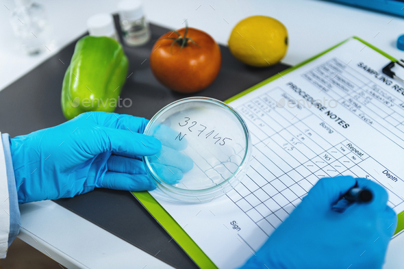 Food Quality Assessment in Microbiology Laboratory Stock Photo by microgen