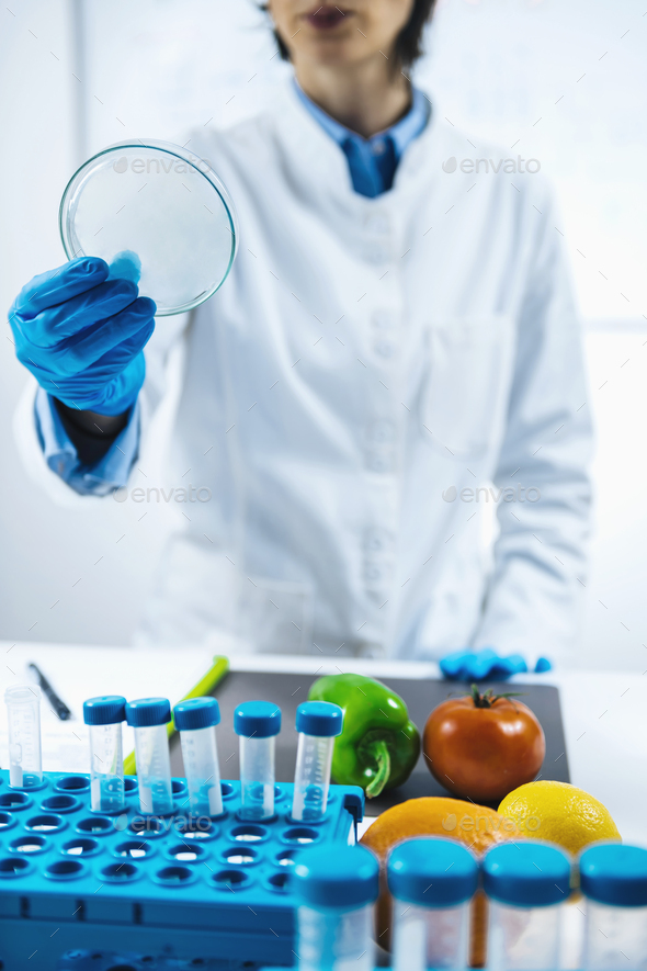 Food Quality Assessment in Microbiology Laboratory Stock Photo by microgen