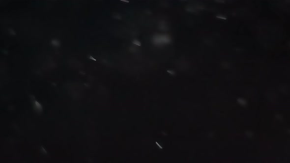 Slow Motion Natural Particles, Stock Footage | VideoHive