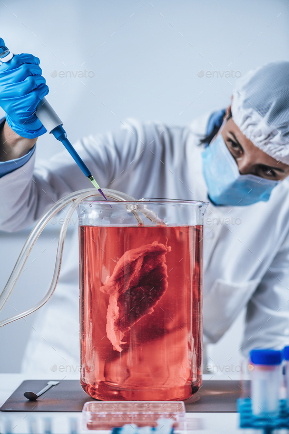 Lab-Grown Meat or in Vitro Meat Stock Photo by microgen | PhotoDune