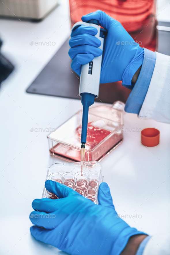 Biotechnology Researcher in Laboratory Working with Cell Culture Stock ...