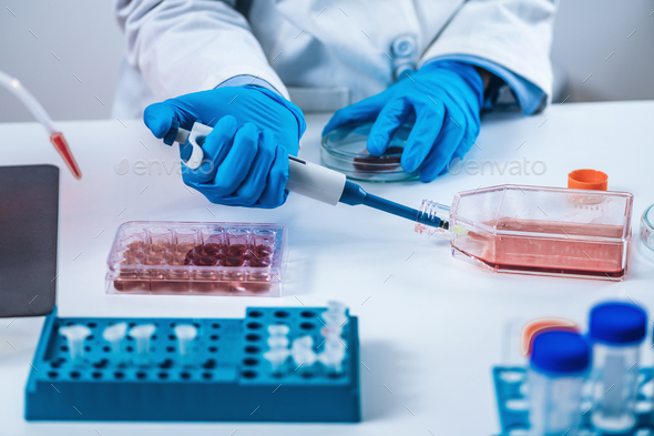 Biotechnology Researcher in Laboratory Working with Cell Culture Stock ...