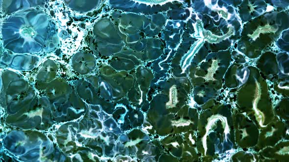 Colorful Abstract Motion Graphic Background 4K, Motion Graphics | VideoHive