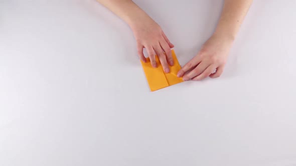 Bird Beak. Origami. White. Time Lapse, Stock Footage | VideoHive