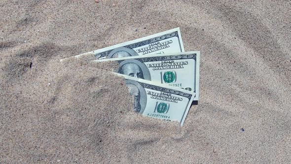 Money Dolars Half Covered with Sand Lie on Beach Closeup, Stock Footage