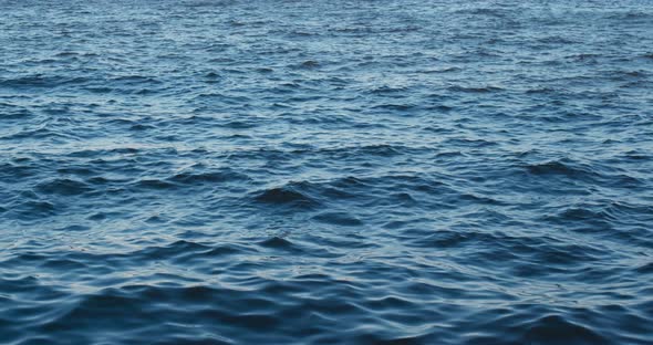 Sea surface water wave ripple , Stock Footage | VideoHive