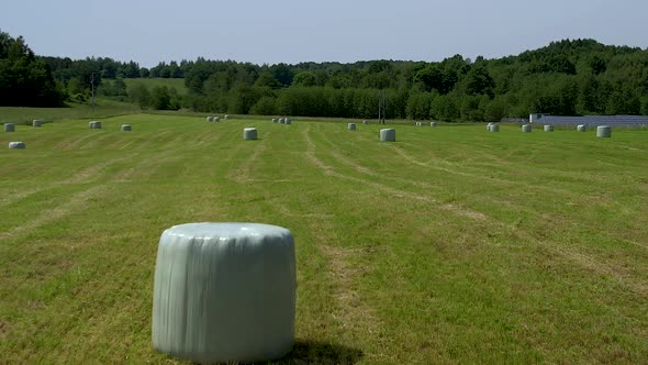 Hay bales wrapped in white plastic bags after harvesting crops on ...