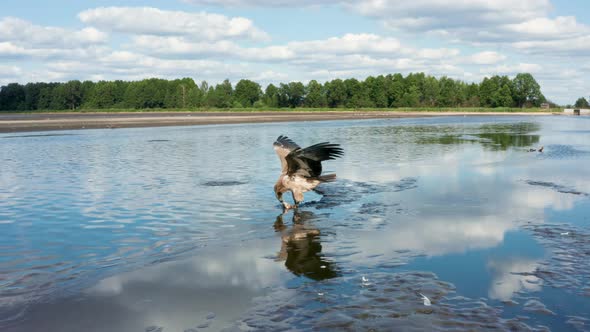 Magic Present (Image-Photo-Video Album Gallery) by drgost_ | VideoHive