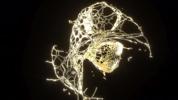 Gold Stream Super Slow Motion 1000 FPS, Motion Graphics | VideoHive