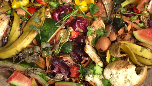 Compost. Vegetable and fruit remains and peelings, eggshells, Stock Footage