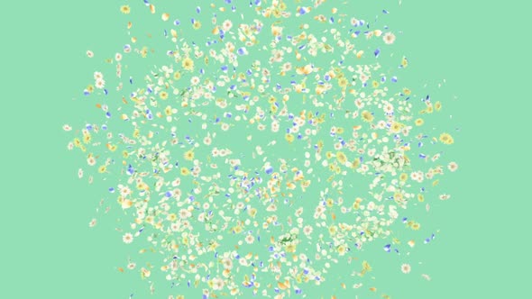 World Map Transformation 4K by Tananchai | VideoHive