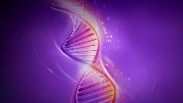 Animation Of Rotation Of A DNA Strand HD, Motion Graphics | VideoHive