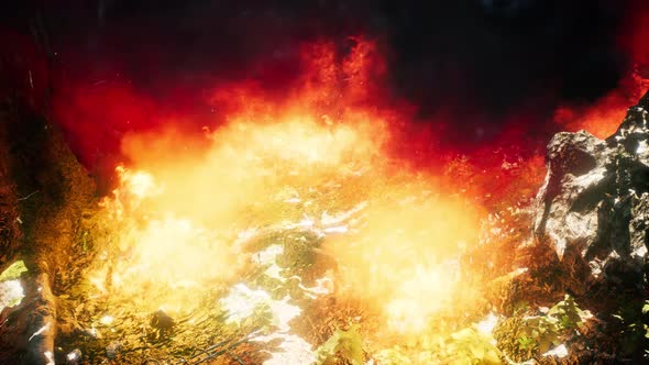 Wind Blowing on a Flaming Trees During a Forest Fire, Motion Graphics