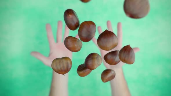 Throwing Up Handful Pile of Chestnuts Above Green Background, Stock Footage