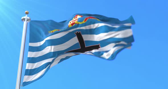 Flag of the City of Nelson, Motion Graphics | VideoHive