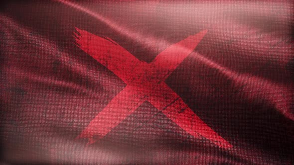 Flag of X, Crossed Out, Motion Graphics | VideoHive