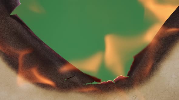Transition Paper Burning, Stock Footage | VideoHive